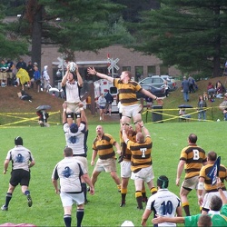 Buffalo Rugby Club